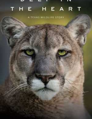 مدرن فیلم | دوبله فارسی مستند Deep in the Heart: A Texas Wildlife Story ...