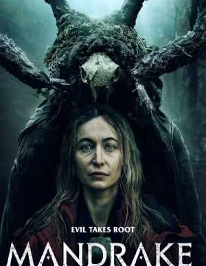 مدرن فیلم | دانلود فیلم Mandrake 2022 زیرنویس فارسی چسبیده بدون سانسور
