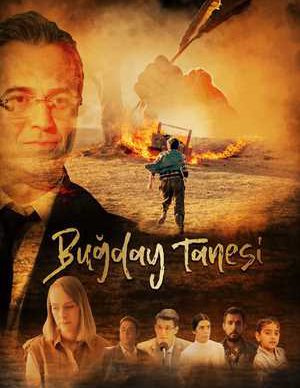 مدرن فیلم | دانلود فیلم دانه گندم زیرنویس فارسی چسبیده Bugday Tanesi 2022