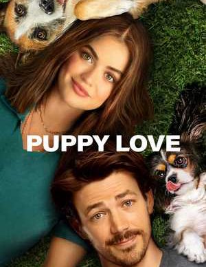 مدرن فیلم | فیلم پاپی لاو Puppy Love 2023