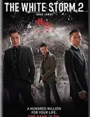 مدرن فیلم | دانلود The White Storm 2 Drug Lords 2019 زبان اصلی