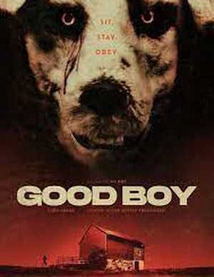 مدرن فیلم | نسخه اصلی Good Boy 2022