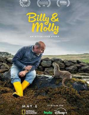 مدرن فیلم | فیلم Billy & Molly: An Otter Love Story 2024 دوبله بدون سانسور