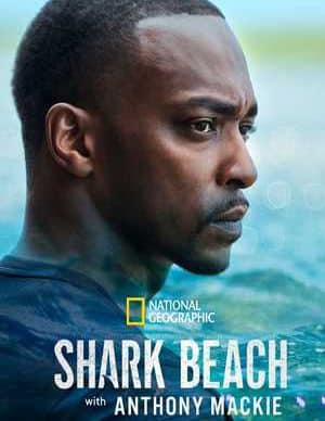مدرن فیلم | فیلم Shark Beach with Anthony Mackie 2024 بدون سانسور