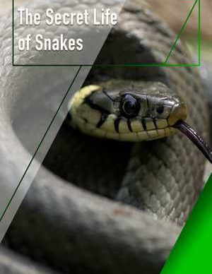 مدرن فیلم | دانلود فیلم The Secret Life of Snakes 2016 با زیرنویس فارسی ...